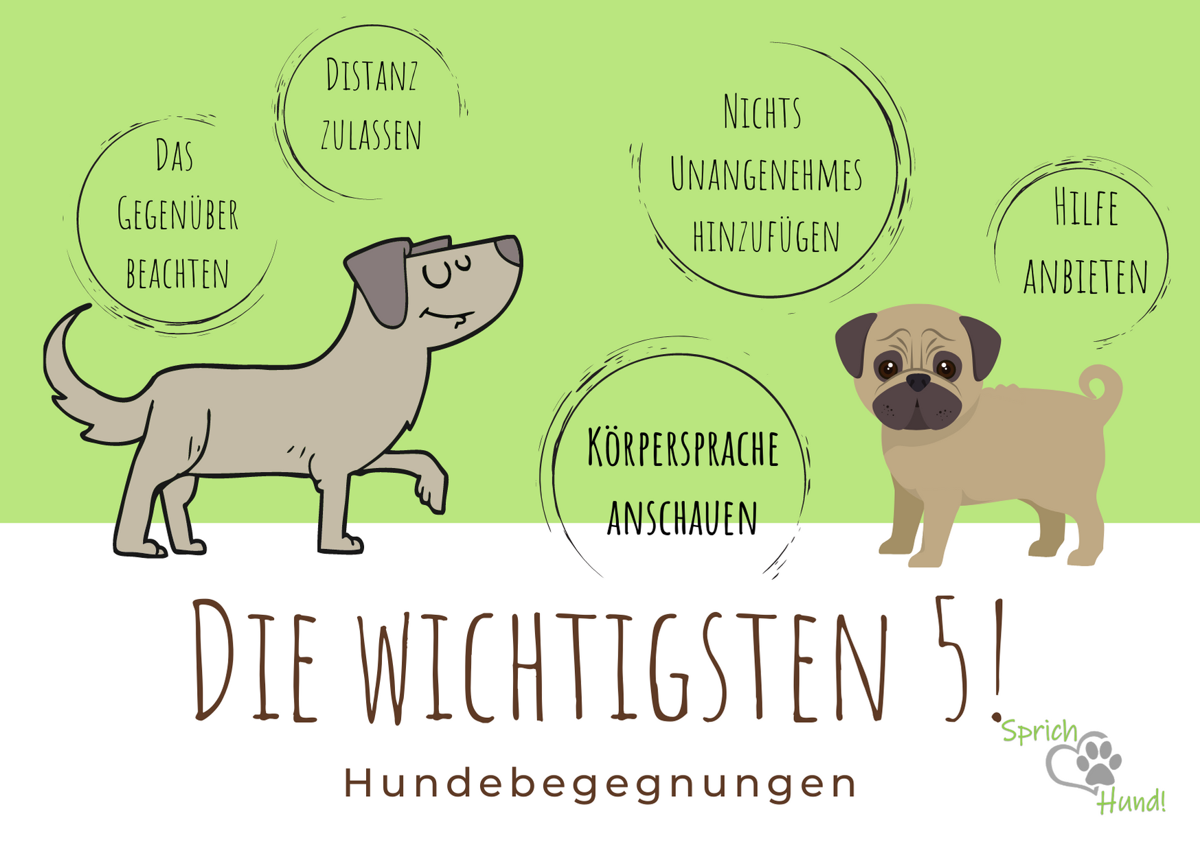 DIE WICHTIGSTEN 5! - Sprich Hund!