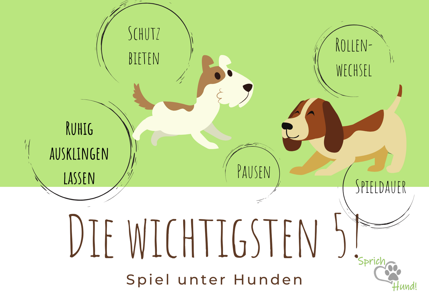 DIE WICHTIGSTEN 5! - Sprich Hund!