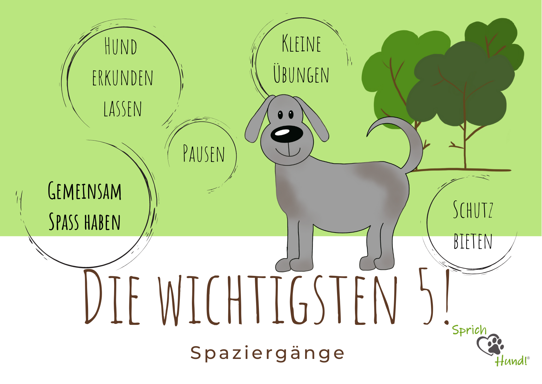 DIE WICHTIGSTEN 5! - Sprich Hund!