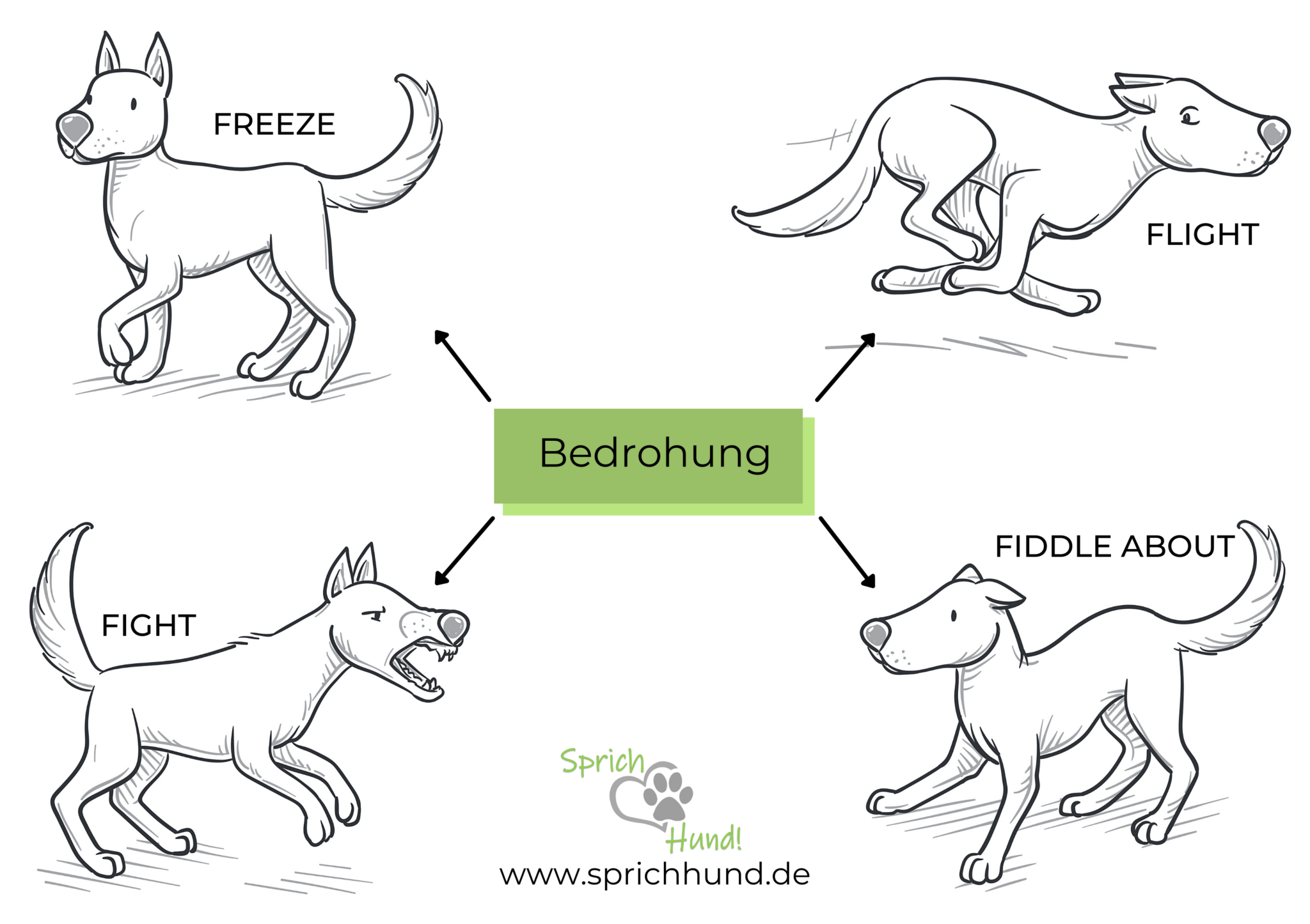 Angriff / Fight - Reaktion auf eine Bedrohung - Sprich Hund!