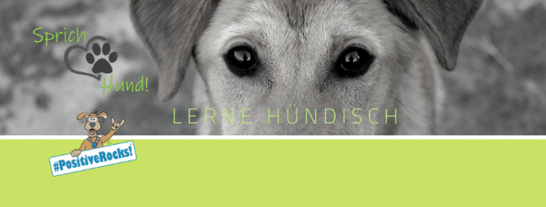 Beschreiben! - Sprich Hund!
