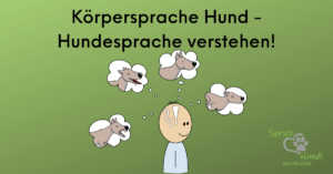 Körpersprache Hund – Hundesprache sehen und verstehen! - Sprich Hund!