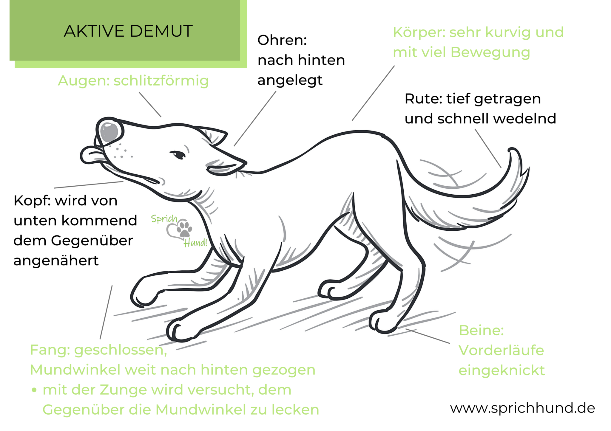 AKTIVE DEMUT - Sprich Hund!