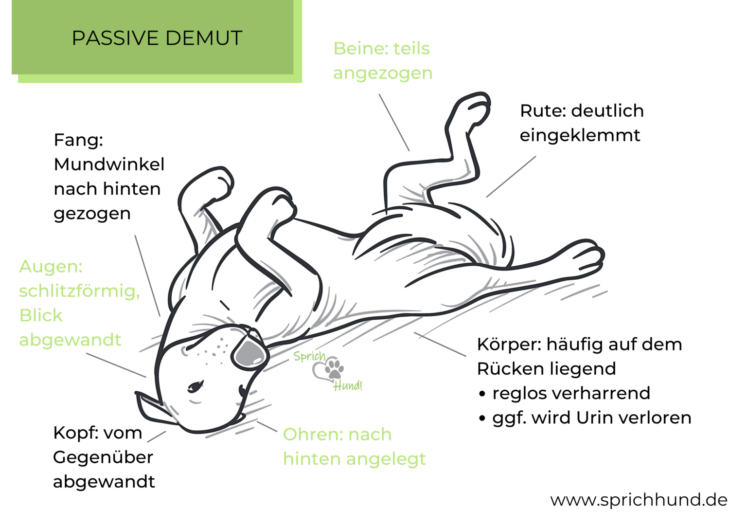 PASSIVE DEMUT - Sprich Hund!