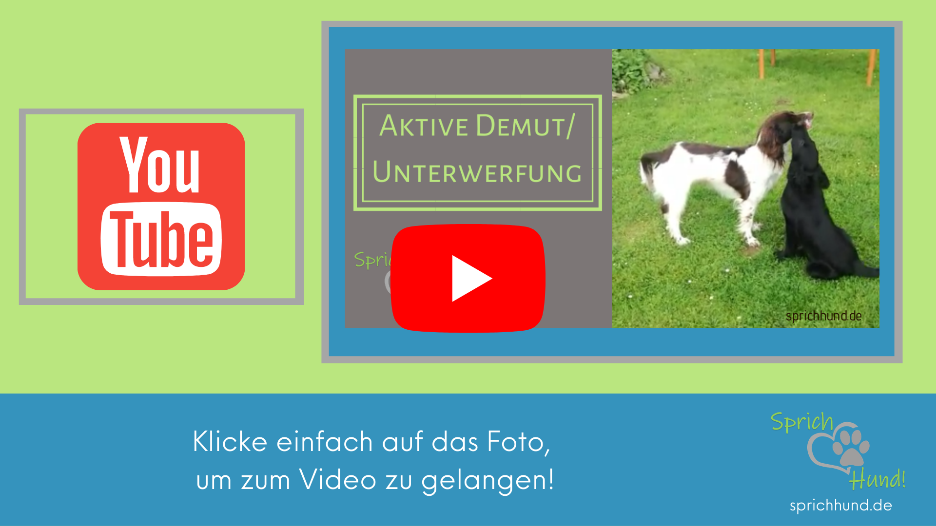 Aktive und passive Demut - Sprich Hund!