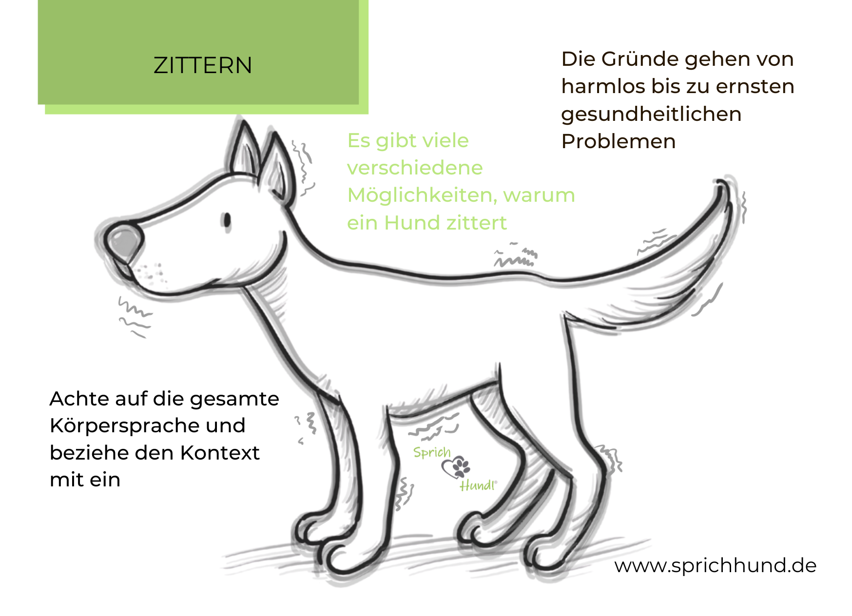 Zittern - Sprich Hund!
