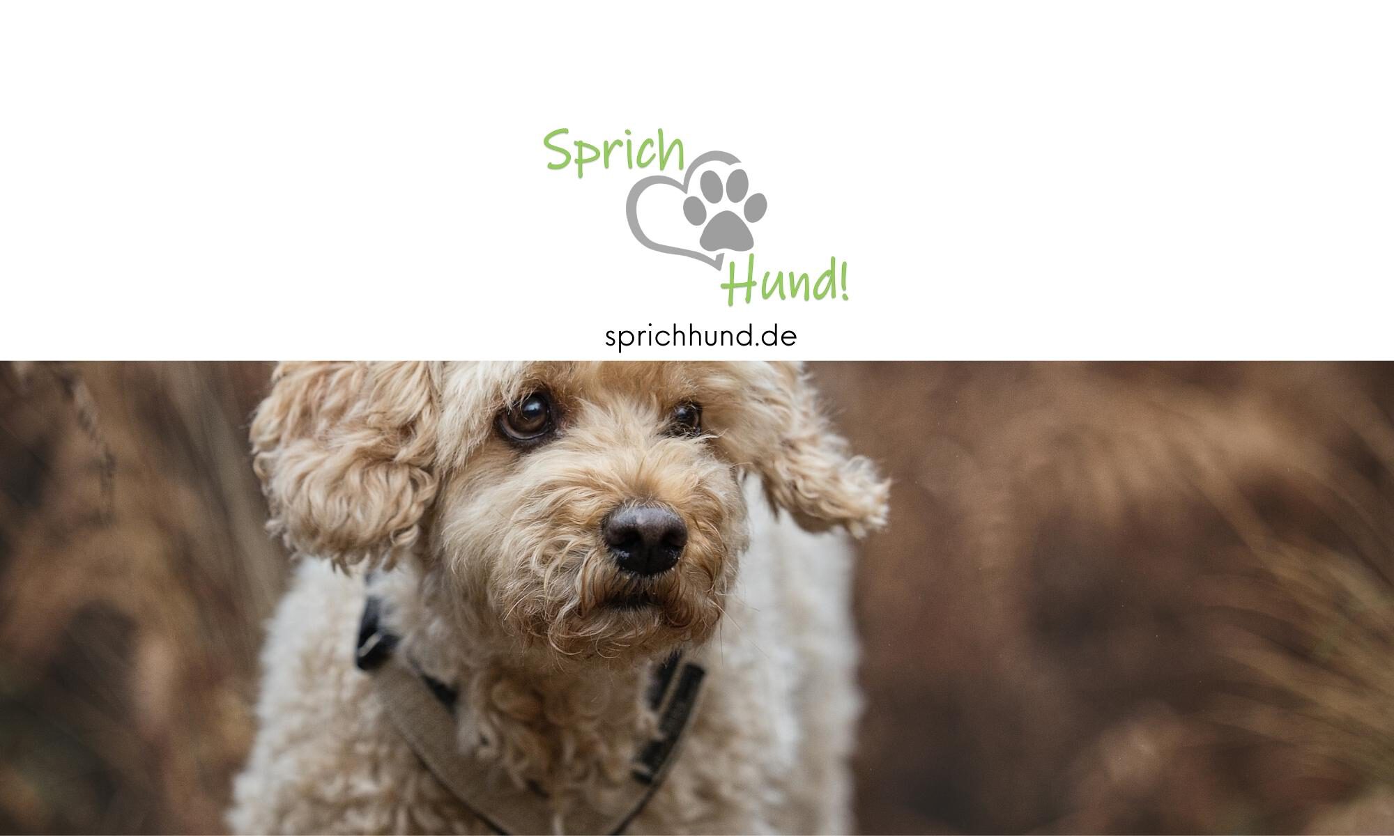 START - Sprich Hund!